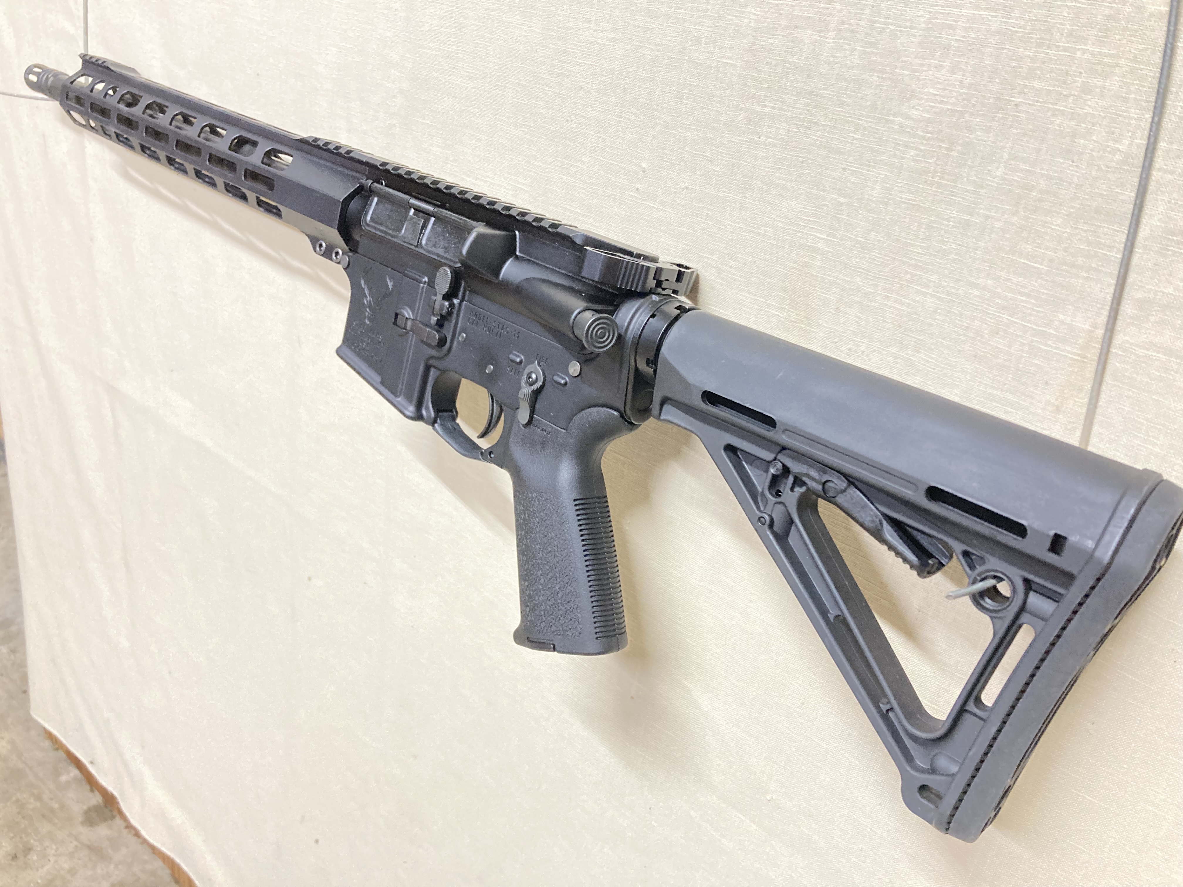GS | AR-15 Custom Stag A…